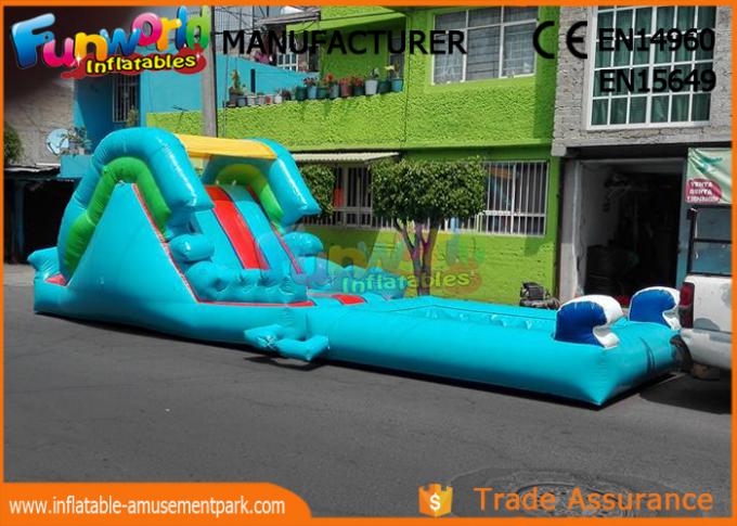 Attractive Blue Cartoon Outdoor Inflatable Water Slides For Kids and Adults