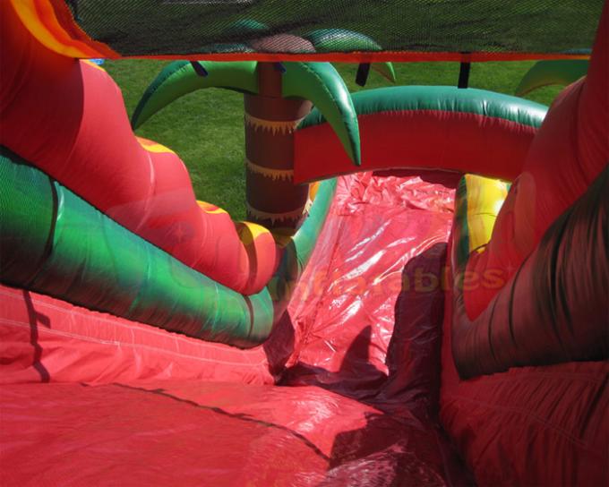 Multicolor Amusement Pool Full Printing Inflatable Water Slide